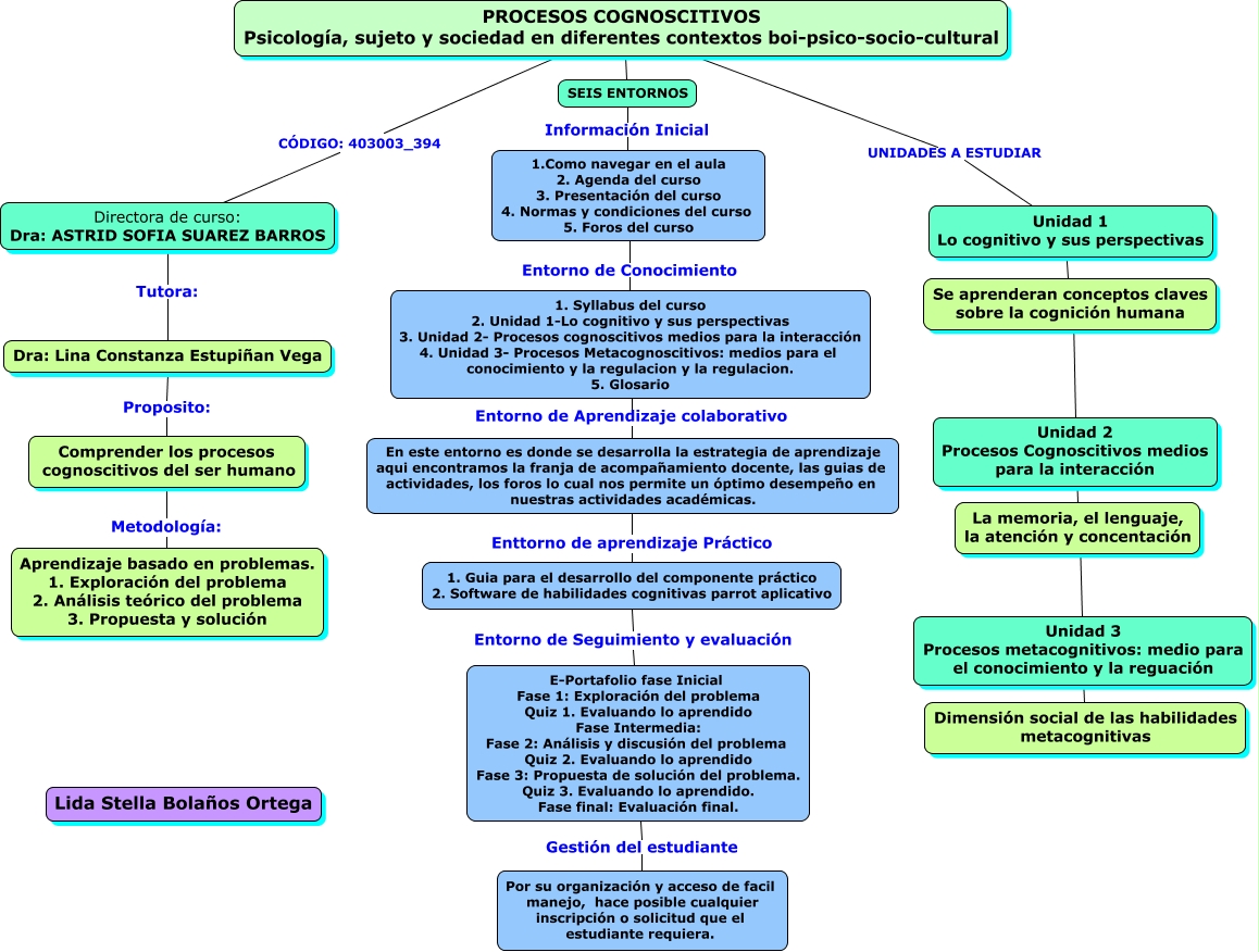 Procesos Cognoscitivos Lis